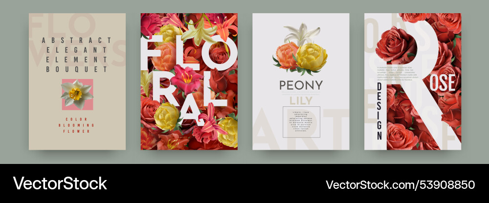 Flower background botanical poster floral Vector Image