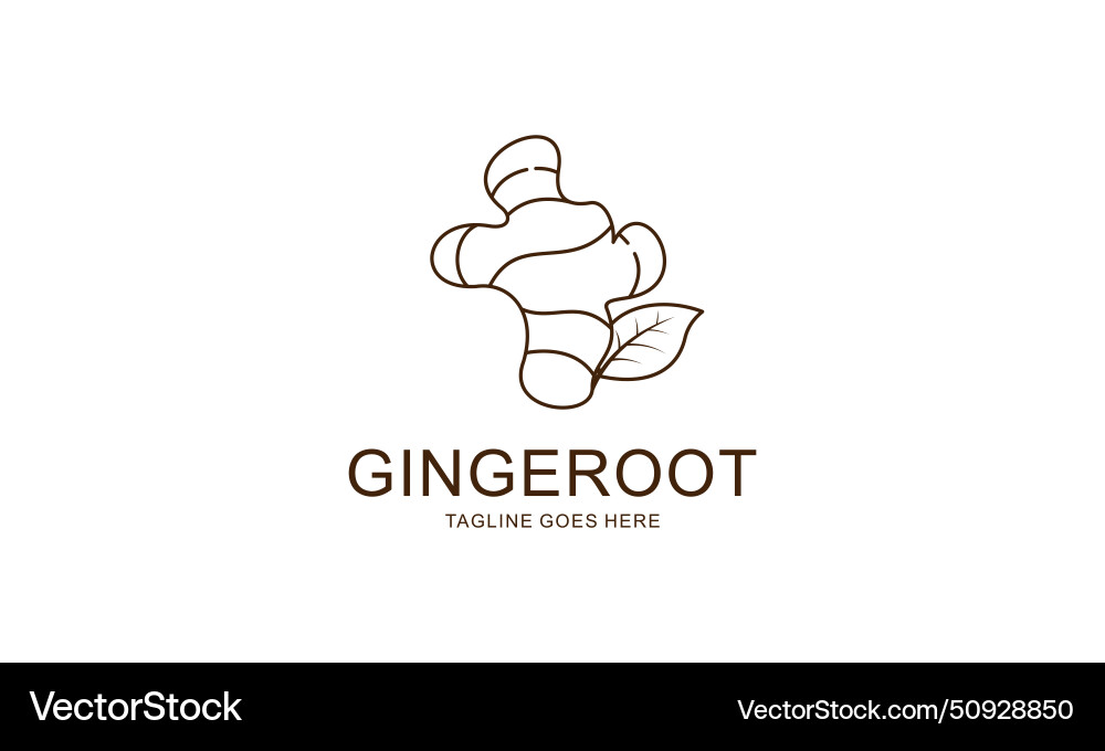 Ginger root logo round linear logo of ginger Vector Image
