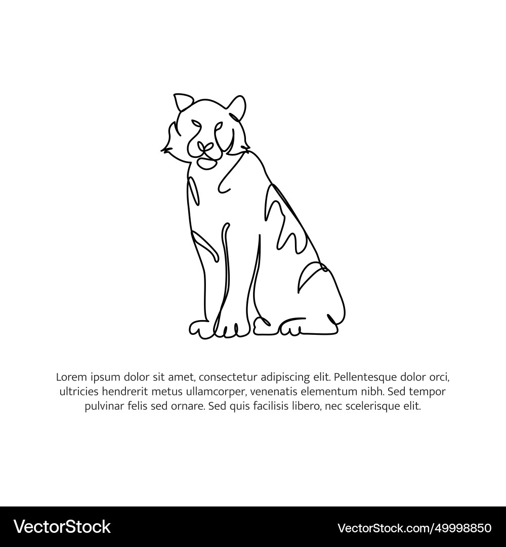 Tiger line design wildlife decorative elements Vector Image