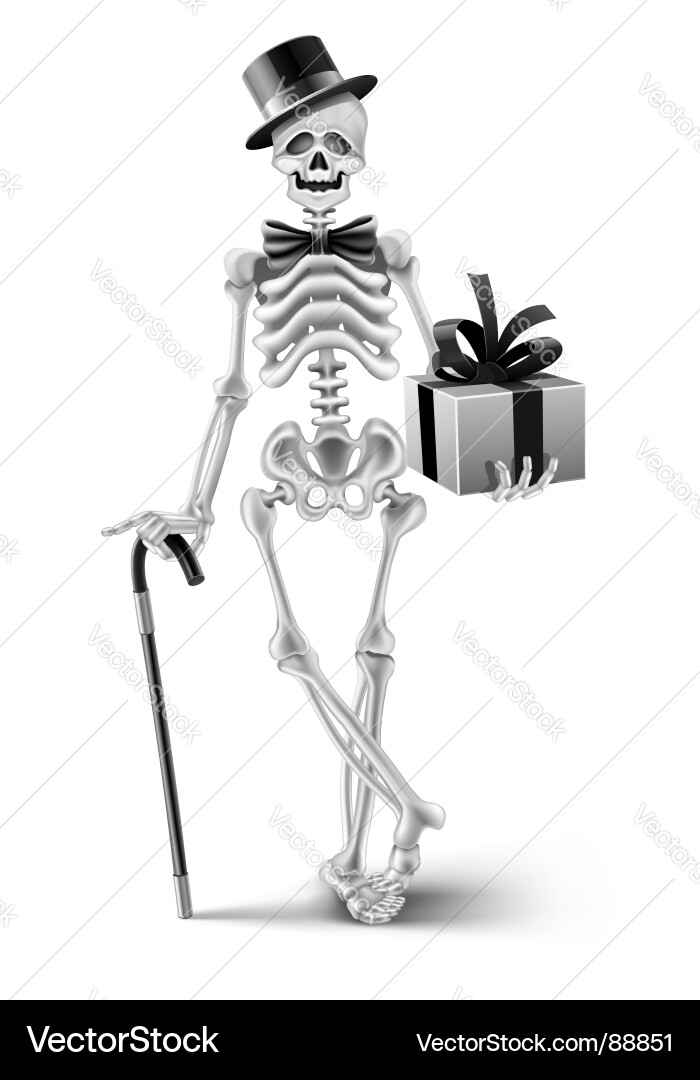 Skeleton Royalty Free Vector Image - VectorStock