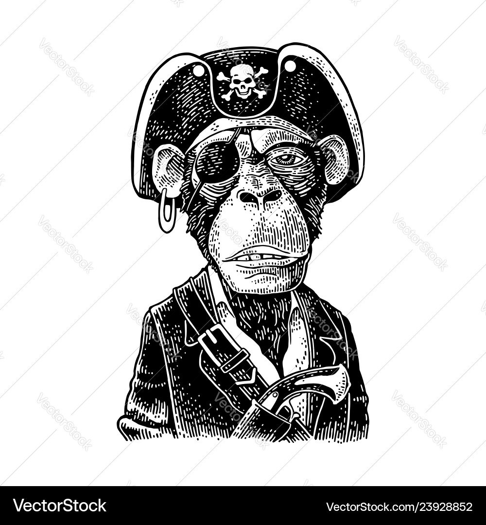 Monkey Gun Vector Images (over 440)