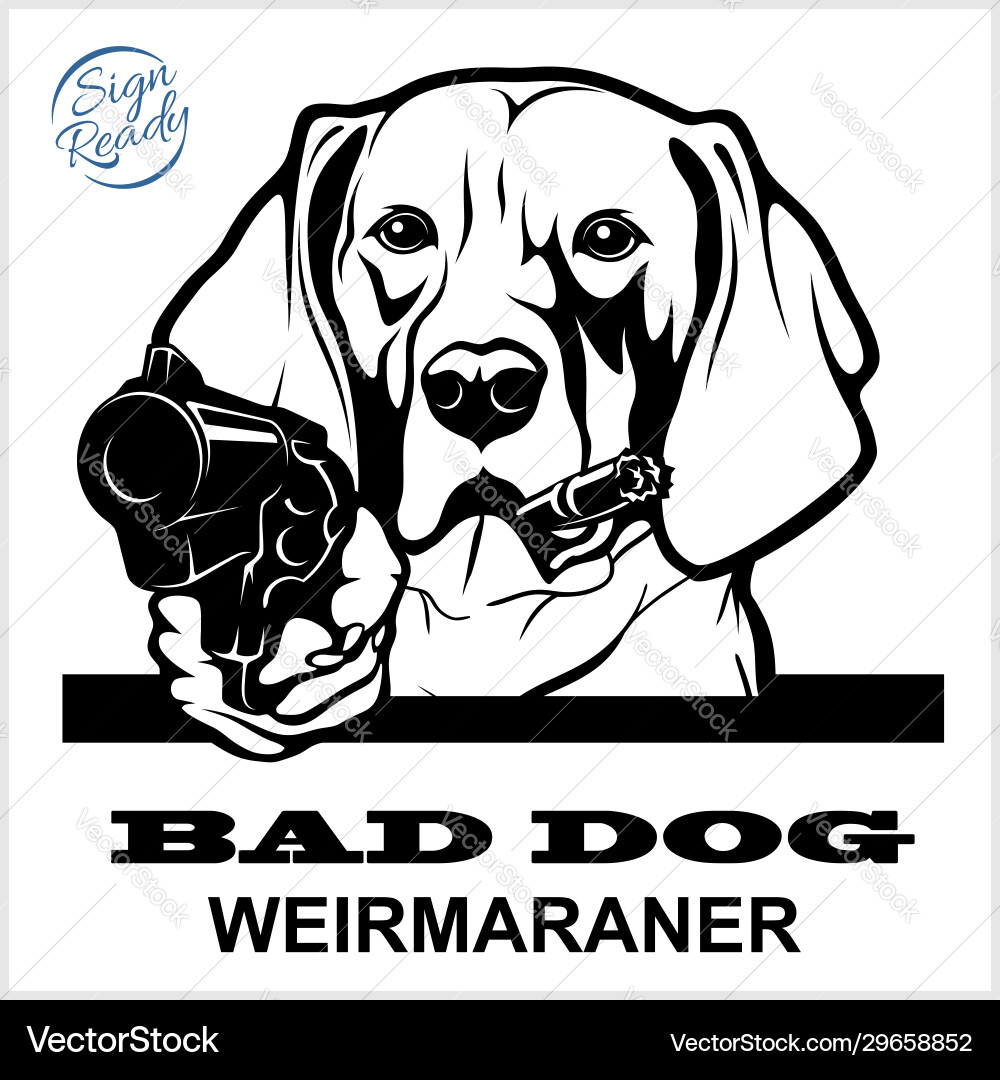 Weimaraner with gun and cigar - dog Royalty Free Vector