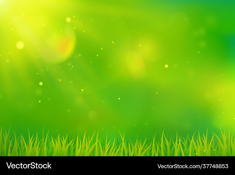 Green spring background with grass Royalty Free Vector Image