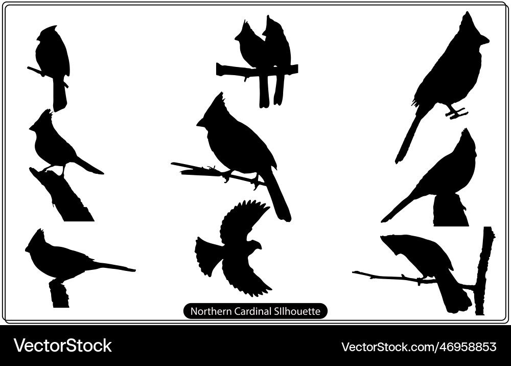 Northern Cardinal Silhouettes Set Royalty Free Vector Image