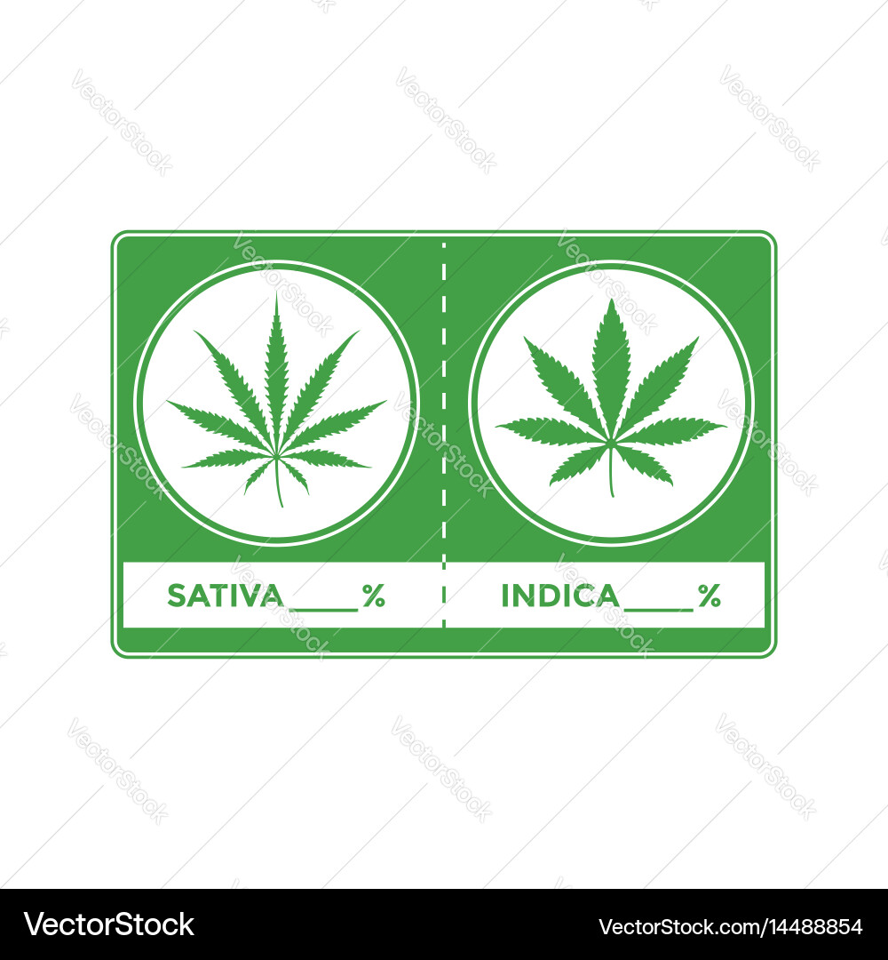 Cannabis Sativa Leaf Icon Royalty Free Vector Image