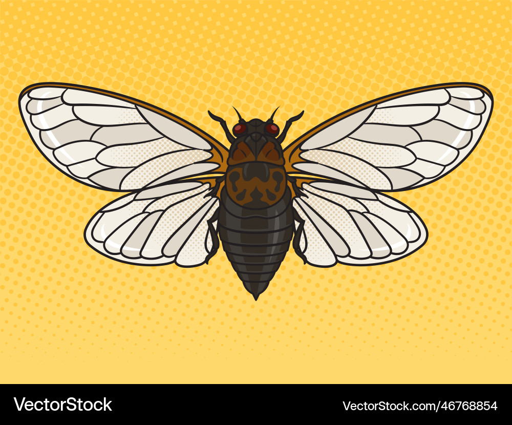 Cicadidae insect pinup pop art Royalty Free Vector Image