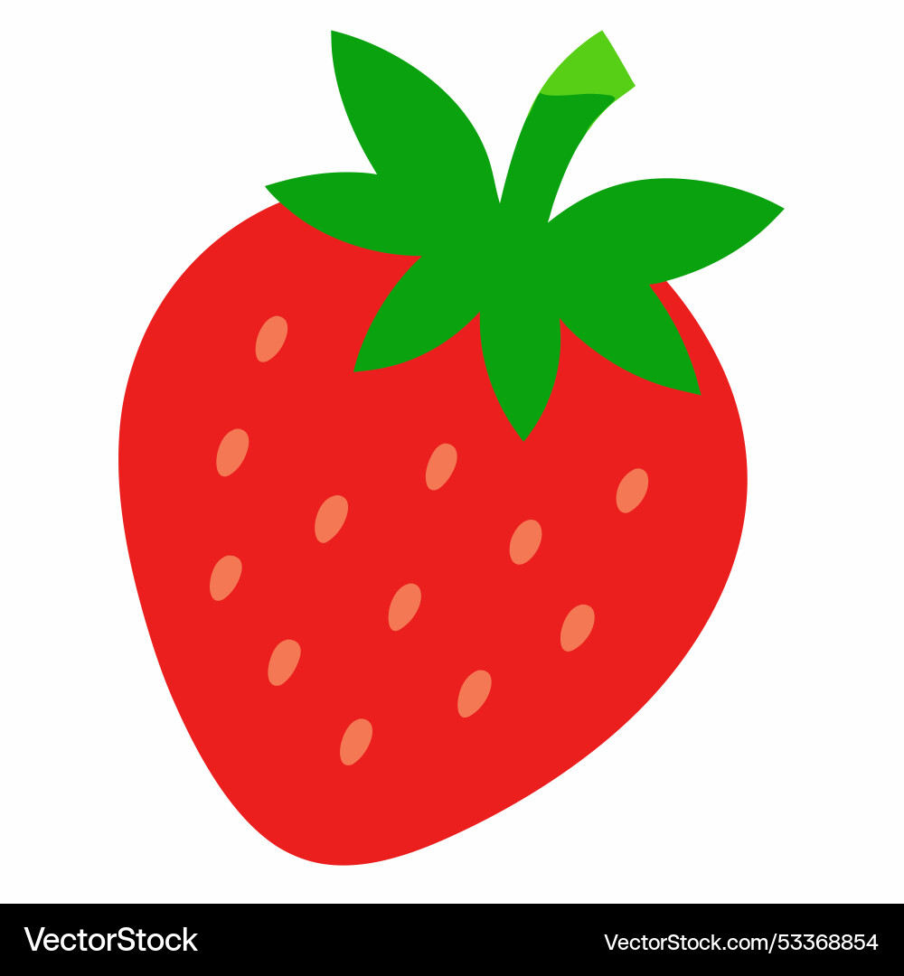Strawberry fruits Royalty Free Vector Image - VectorStock