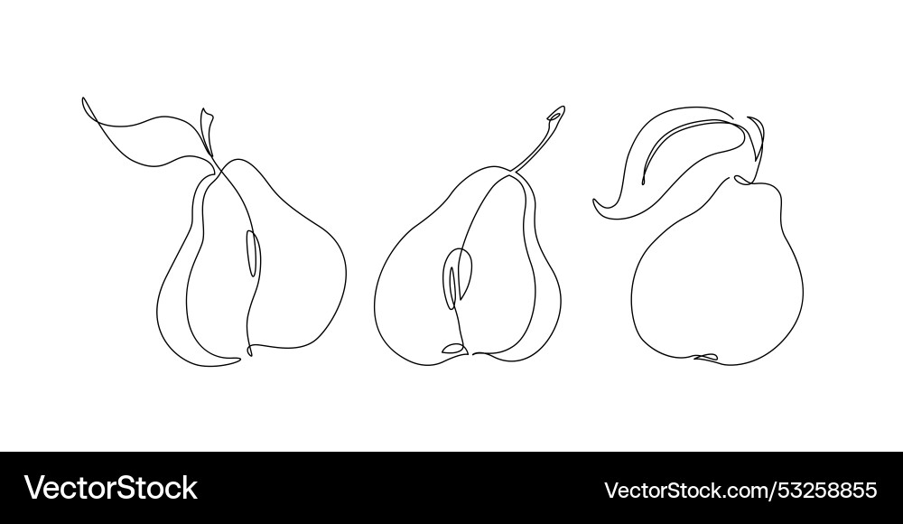 Abstract fruits drawing continuous one line art Vector Image