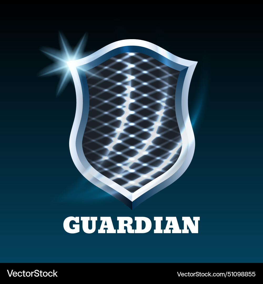 Blue protection metal shield Royalty Free Vector Image