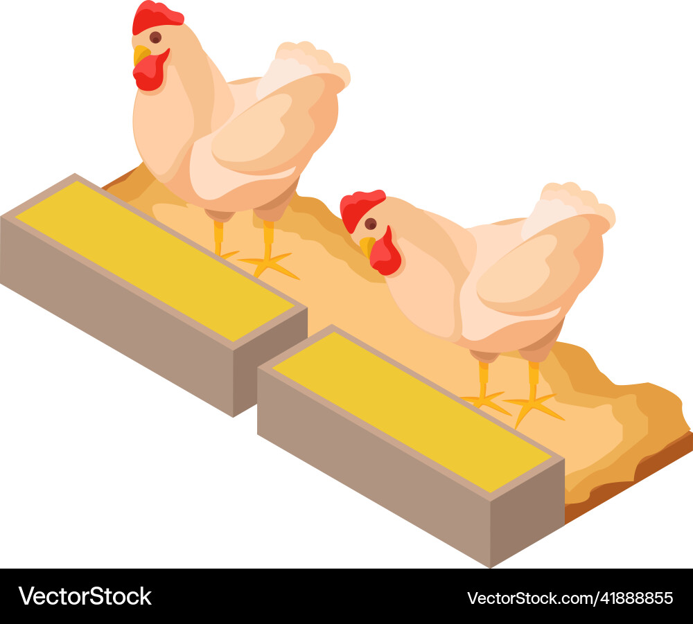 Chicken farm feeding composition Royalty Free Vector Image