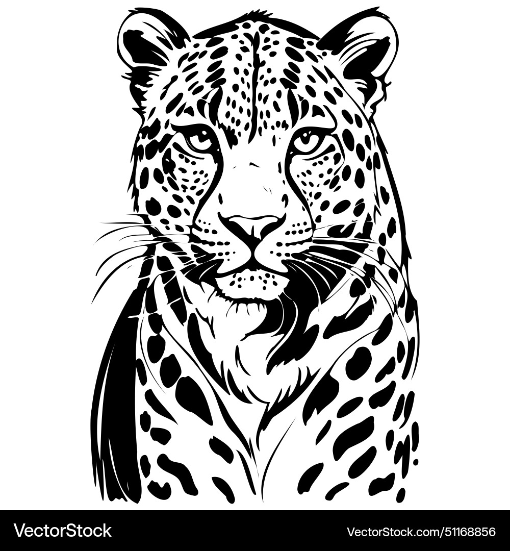 Amur leopard portrait hand drawn animal Royalty Free Vector