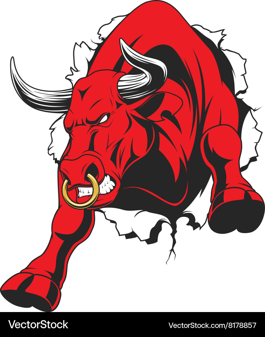 Ferocious bull attacks Royalty Free Vector Image