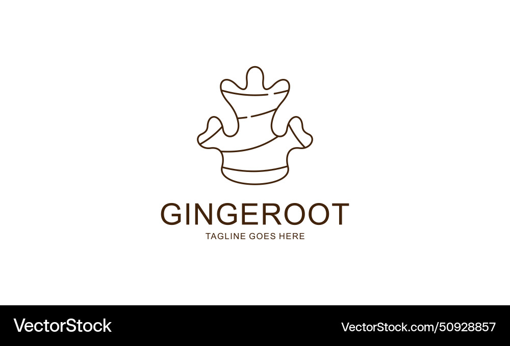 Ginger root logo round linear logo of ginger Vector Image