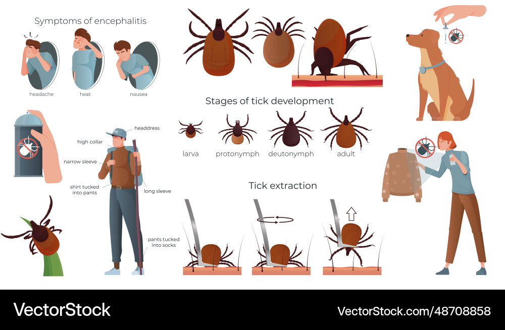 Ticks insect icon set Royalty Free Vector Image