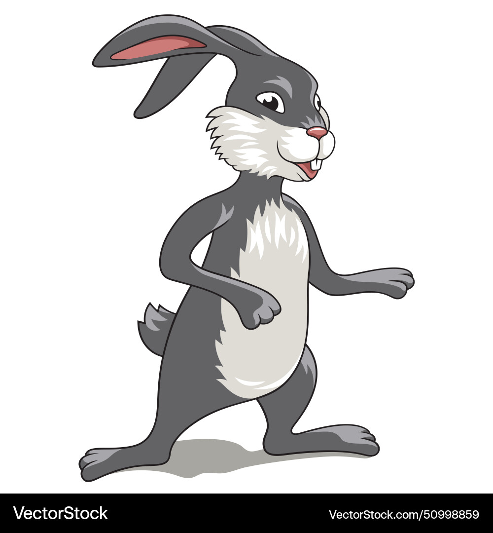 Cartoon bunny rabbit Royalty Free Vector Image