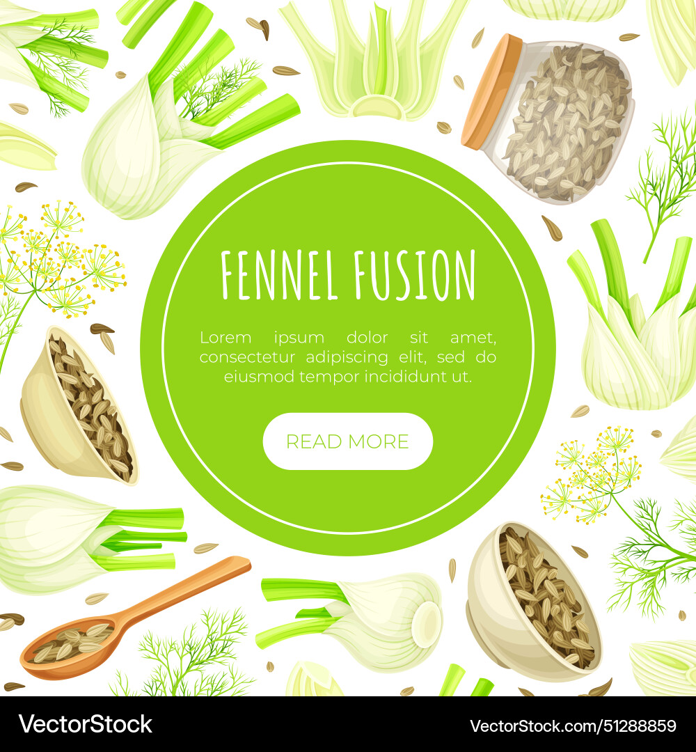 Fennel banner design with edible condiment Vector Image