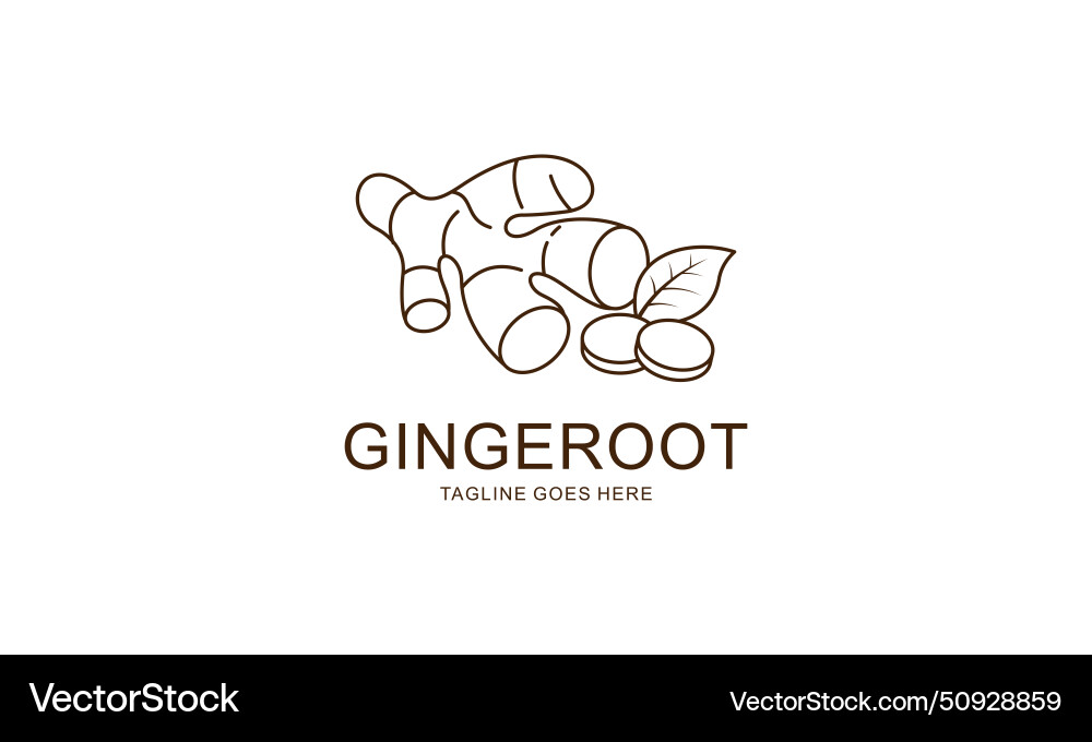 Ginger root logo round linear logo of ginger Vector Image
