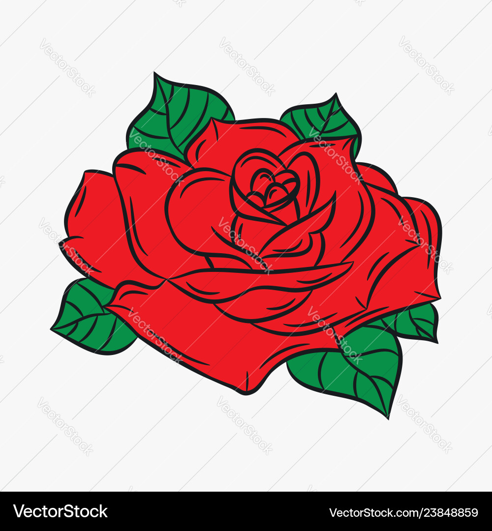 Rose Royalty Free Vector Image - VectorStock