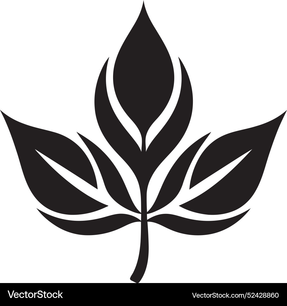 Exploring leaf techniques a primer natures Vector Image