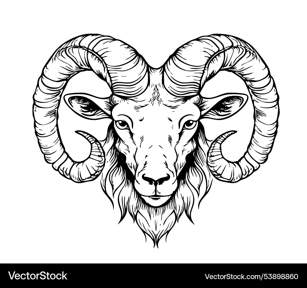 Ram face sketch hand drawn in doodle style Vector Image