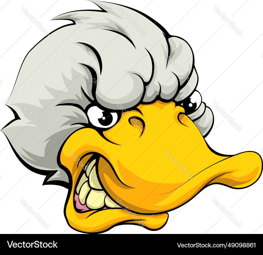 Duck sports mascot Royalty Free Vector Image - VectorStock