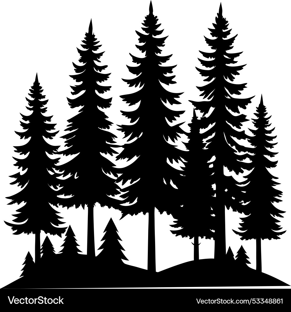 Pine tree silhouette trio Royalty Free Vector Image