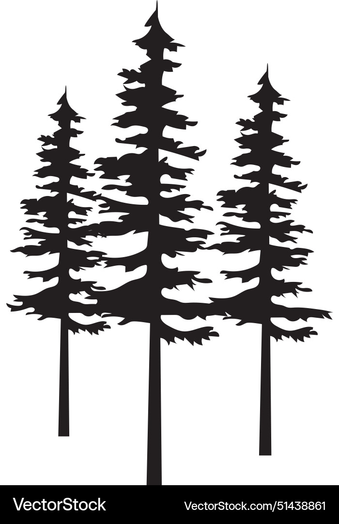 Pine trees Royalty Free Vector Image - VectorStock