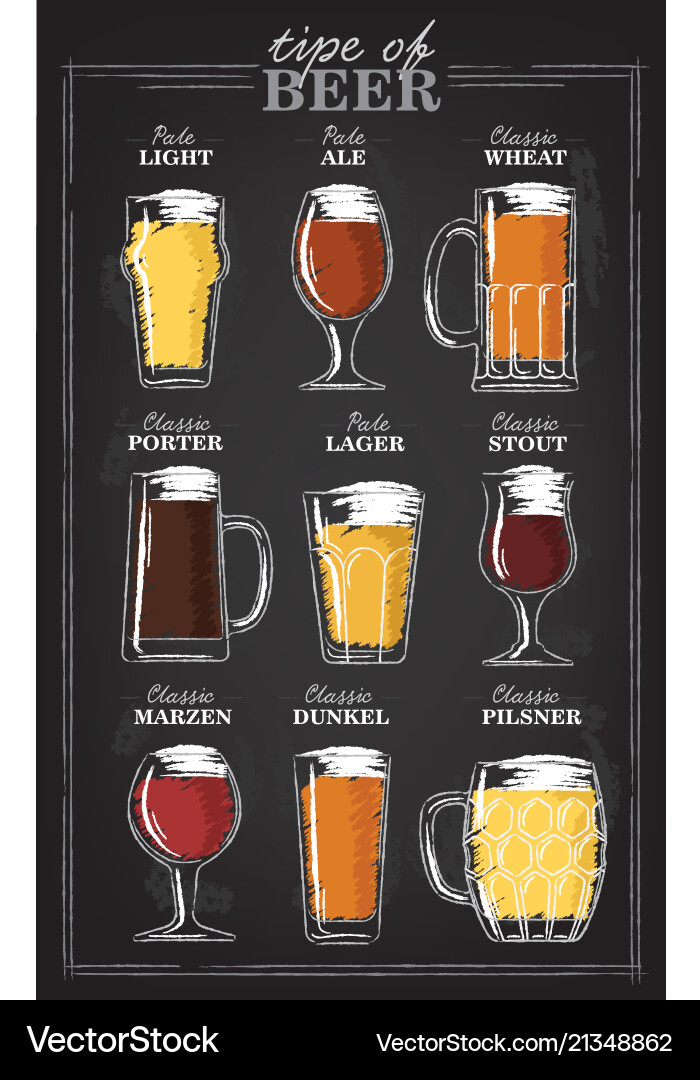 Beer types a visual guide Royalty Free Vector Image