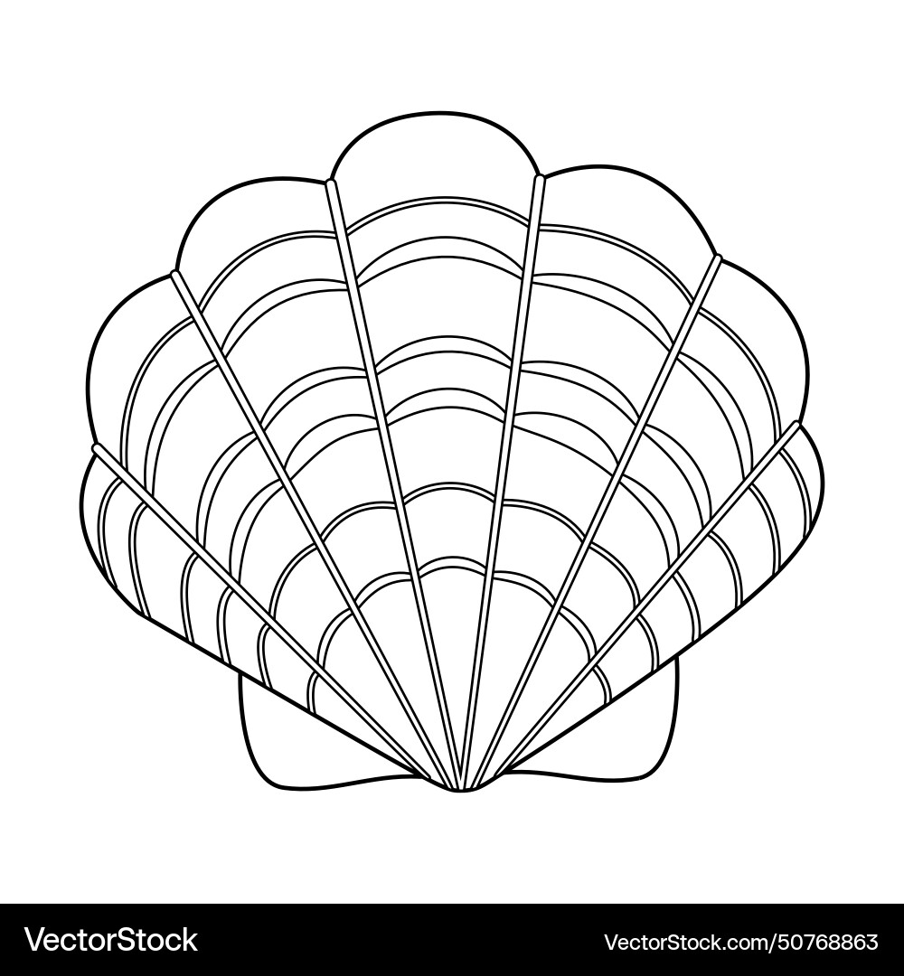 Seashell black and white outline art therapy Vector Image