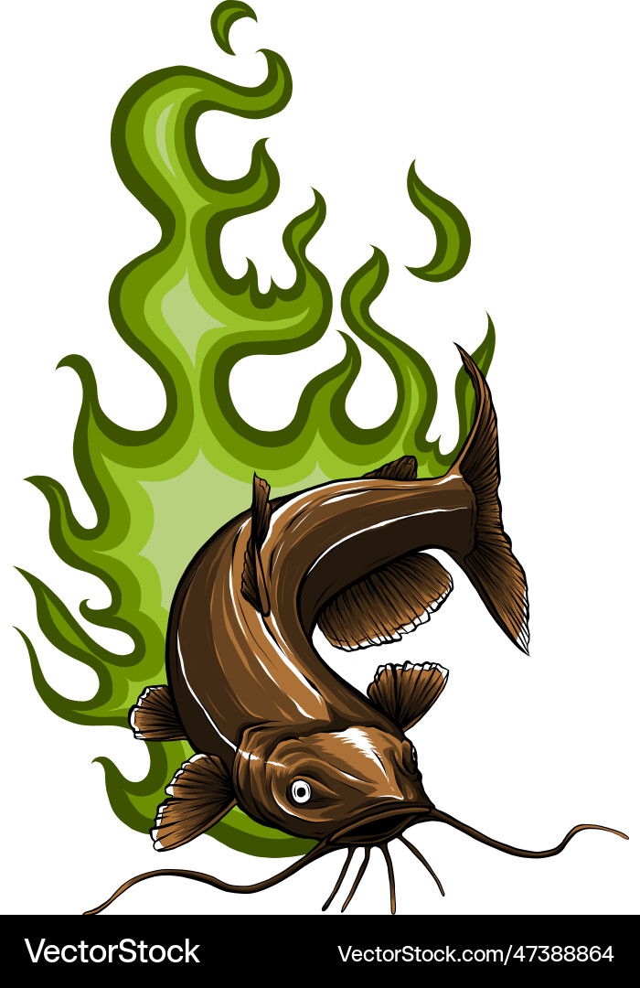 Cartoon of colored catfish Royalty Free Vector Image