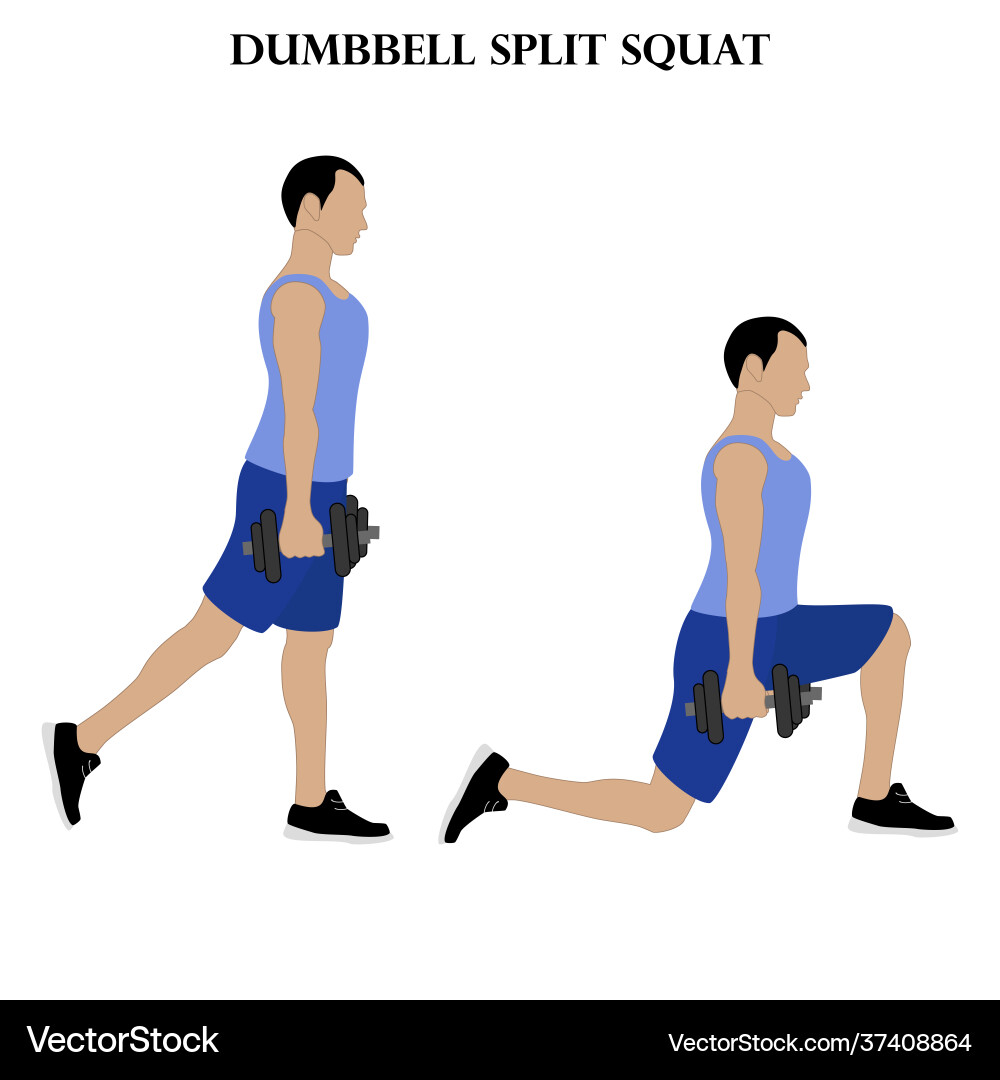 Dumbbell split squat exercise strength workout Vector Image