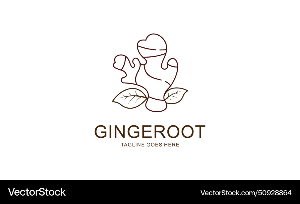Ginger root logo round linear logo of ginger Vector Image