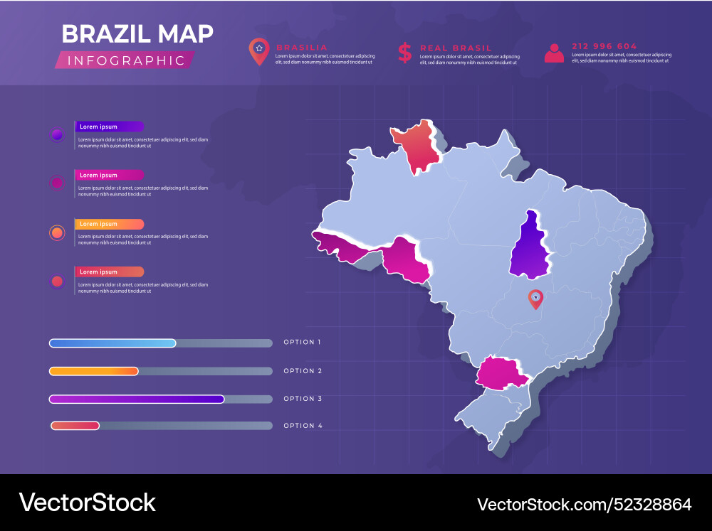 Gradient brazil map infographic Royalty Free Vector Image