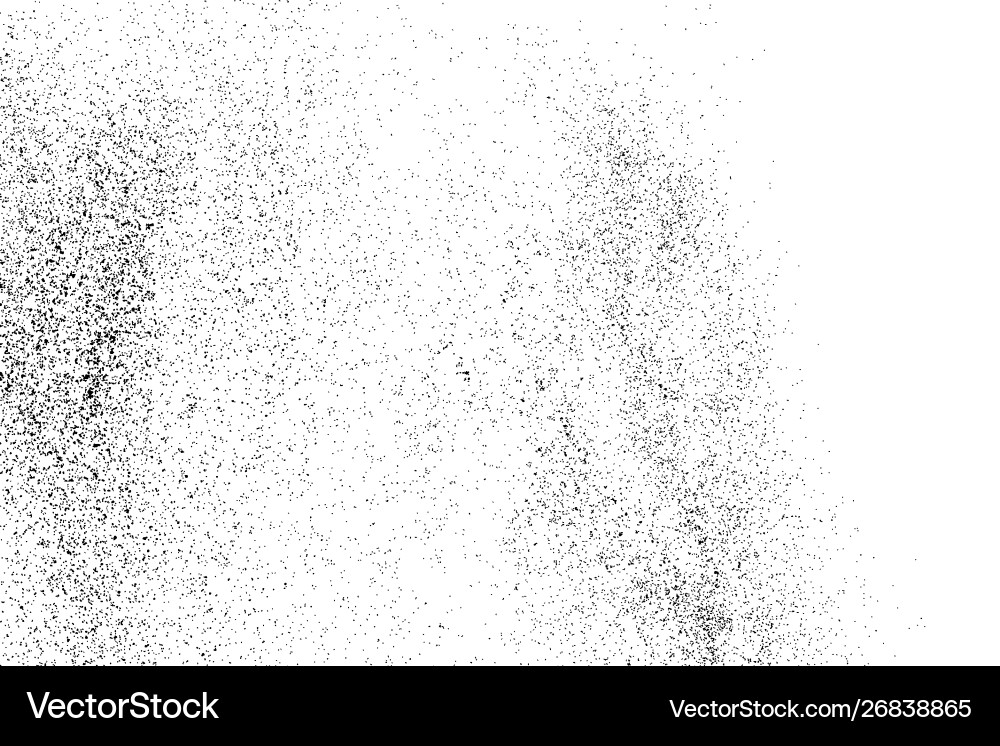 Abstract grainy texture isolated on white Vector Image