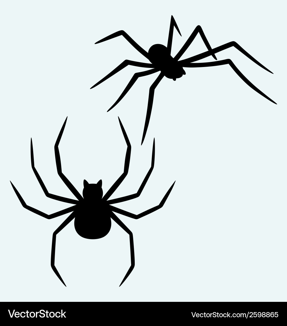 Spider Fangs Vector Images (over 1,000)