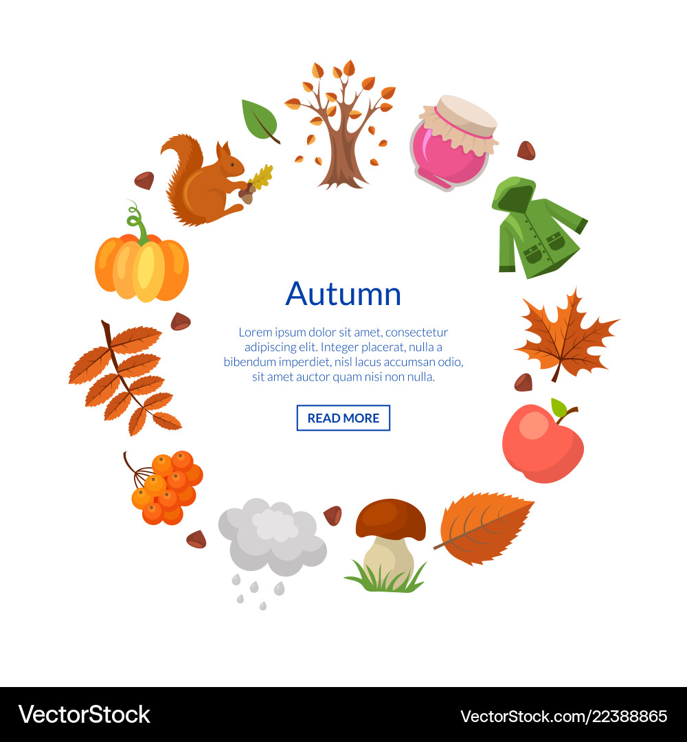 Cartoon autumn elements and leaves Royalty Free Vector Image