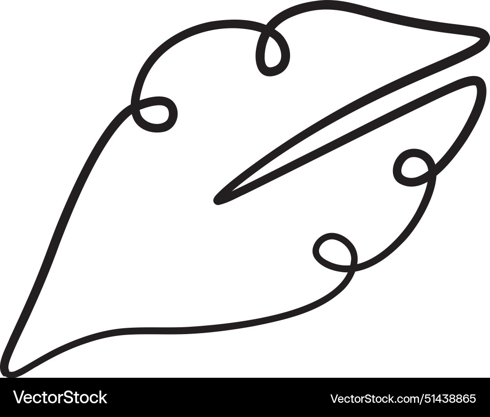Flower leaf sketch Royalty Free Vector Image - VectorStock