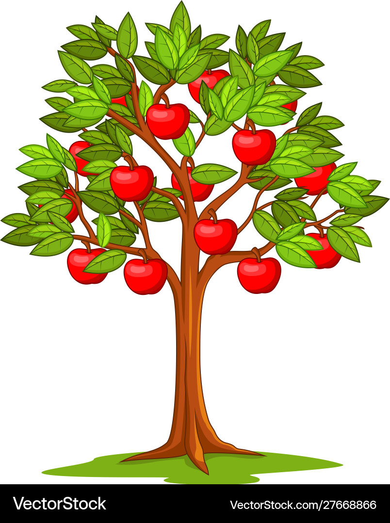 Cartoon apple tree isolated on white background Vector Image