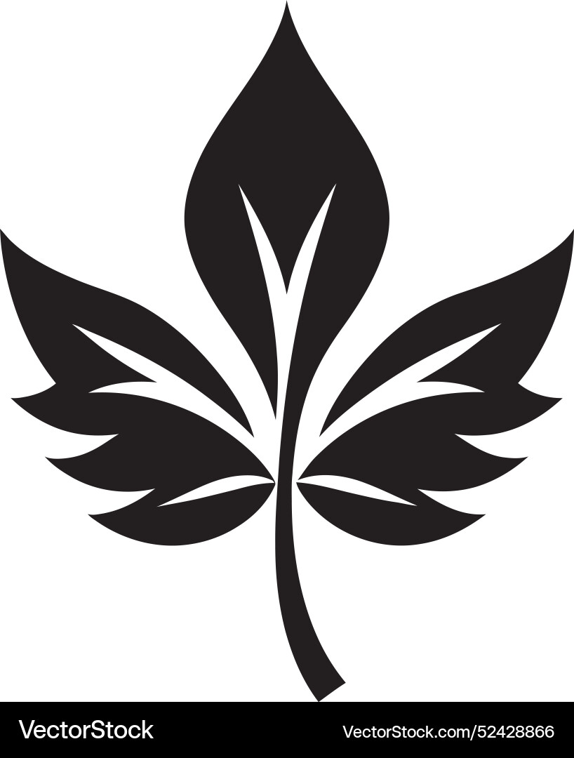 Crafting realistic leaf in natu Royalty Free Vector Image Crafting realistic leaf in natu Royalty Free Vector Image