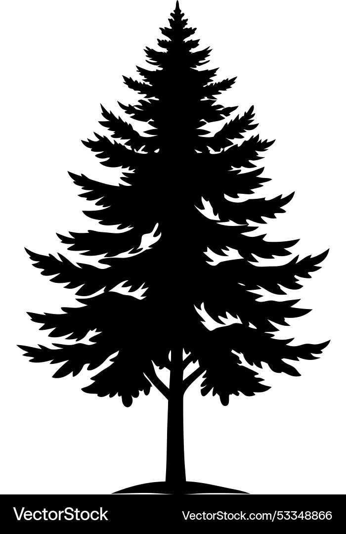 Pine tree silhouette trio Royalty Free Vector Image