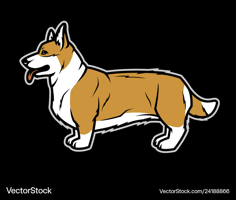 Welsh corgi in profile on a dark background Vector Image