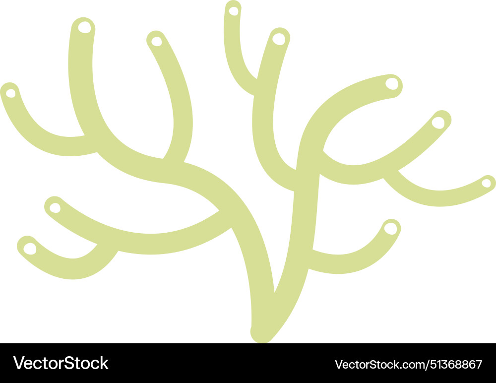 Algae plant cartoon Royalty Free Vector Image - VectorStock
