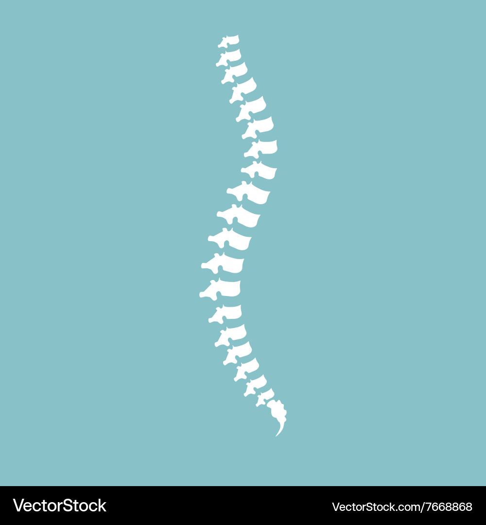 Spine diagnostic center Royalty Free Vector Image