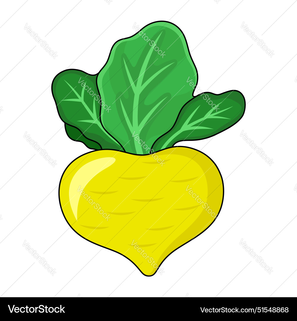 Vegetable turnip icon Royalty Free Vector Image