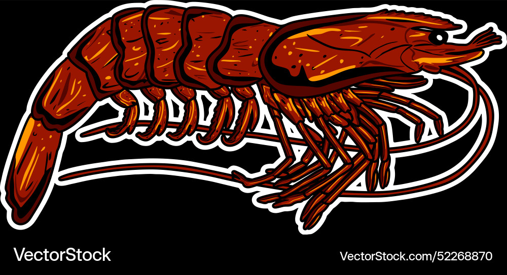 Shrimp designs for seafood restaurant menus Vector Image
