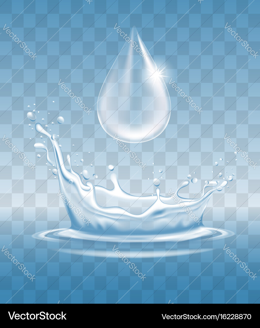 Water splash Royalty Free Vector Image - VectorStock