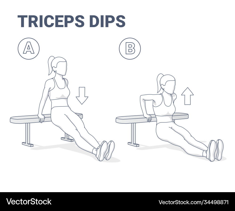 Bench triceps dips female exercise guide black Vector Image