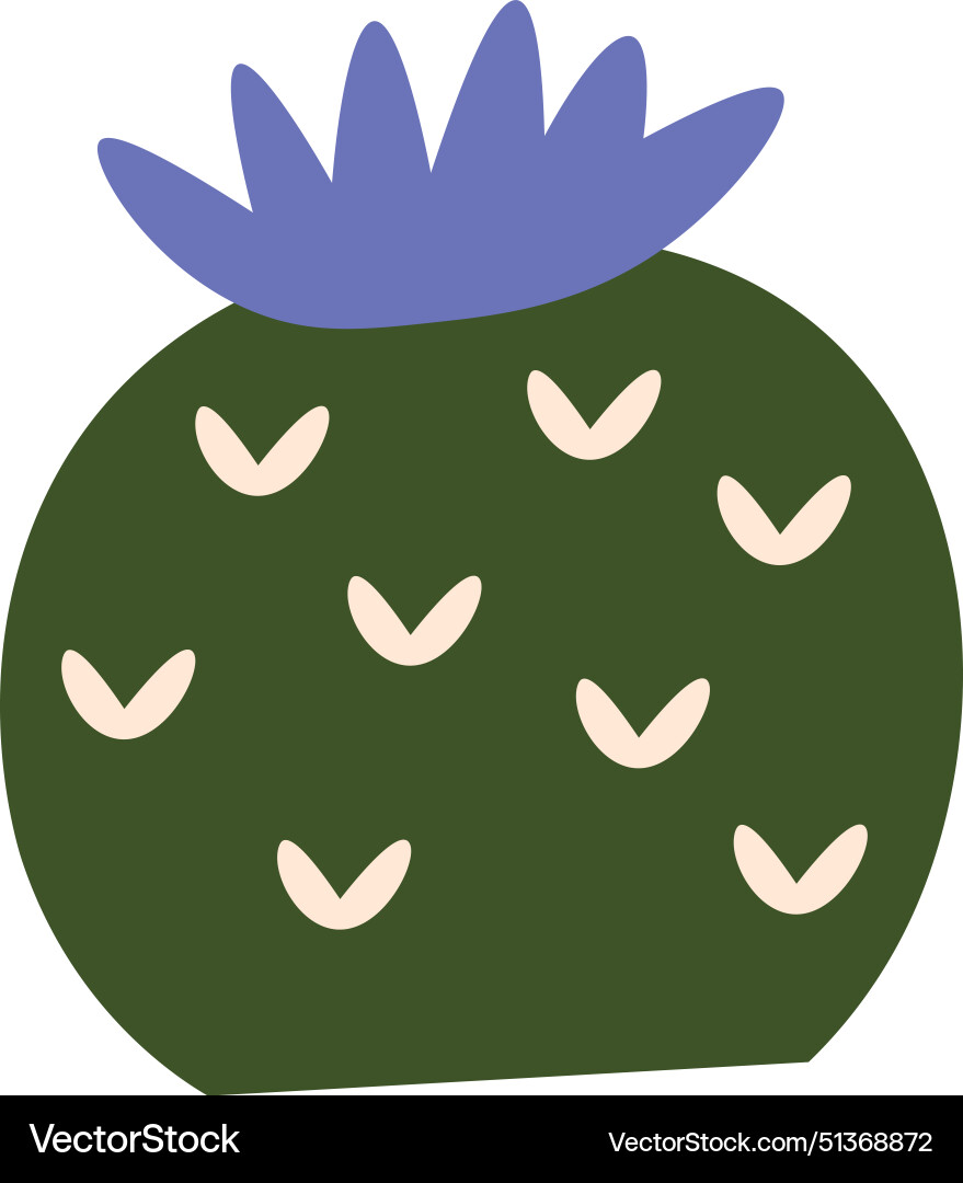 Cactus desert plant Royalty Free Vector Image - VectorStock