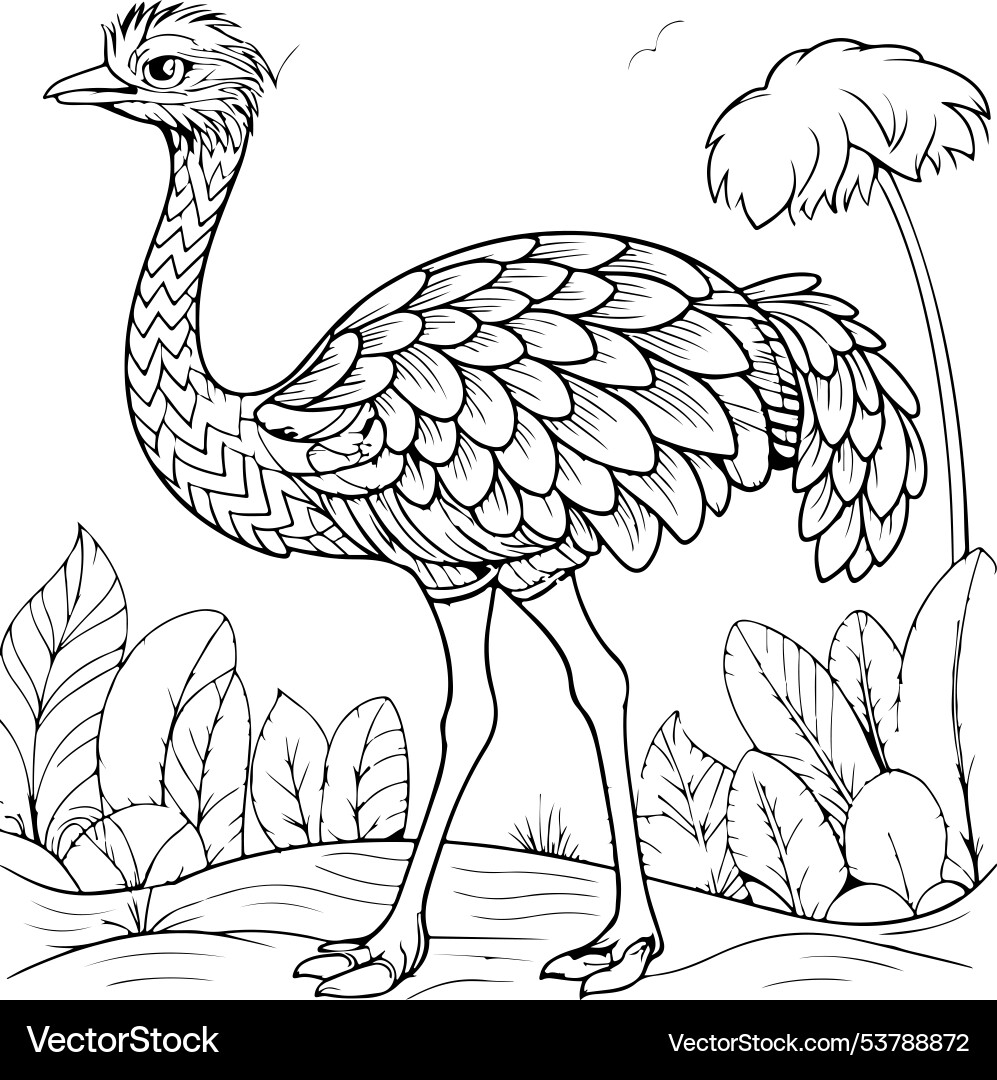 Cartoon ostrich coloring pages Royalty Free Vector Image