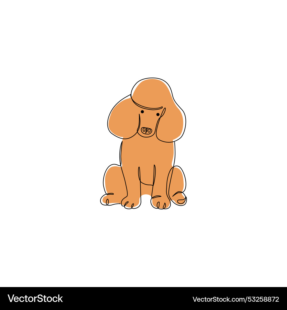 Cute poodle isolated on white background abstract Vector Image